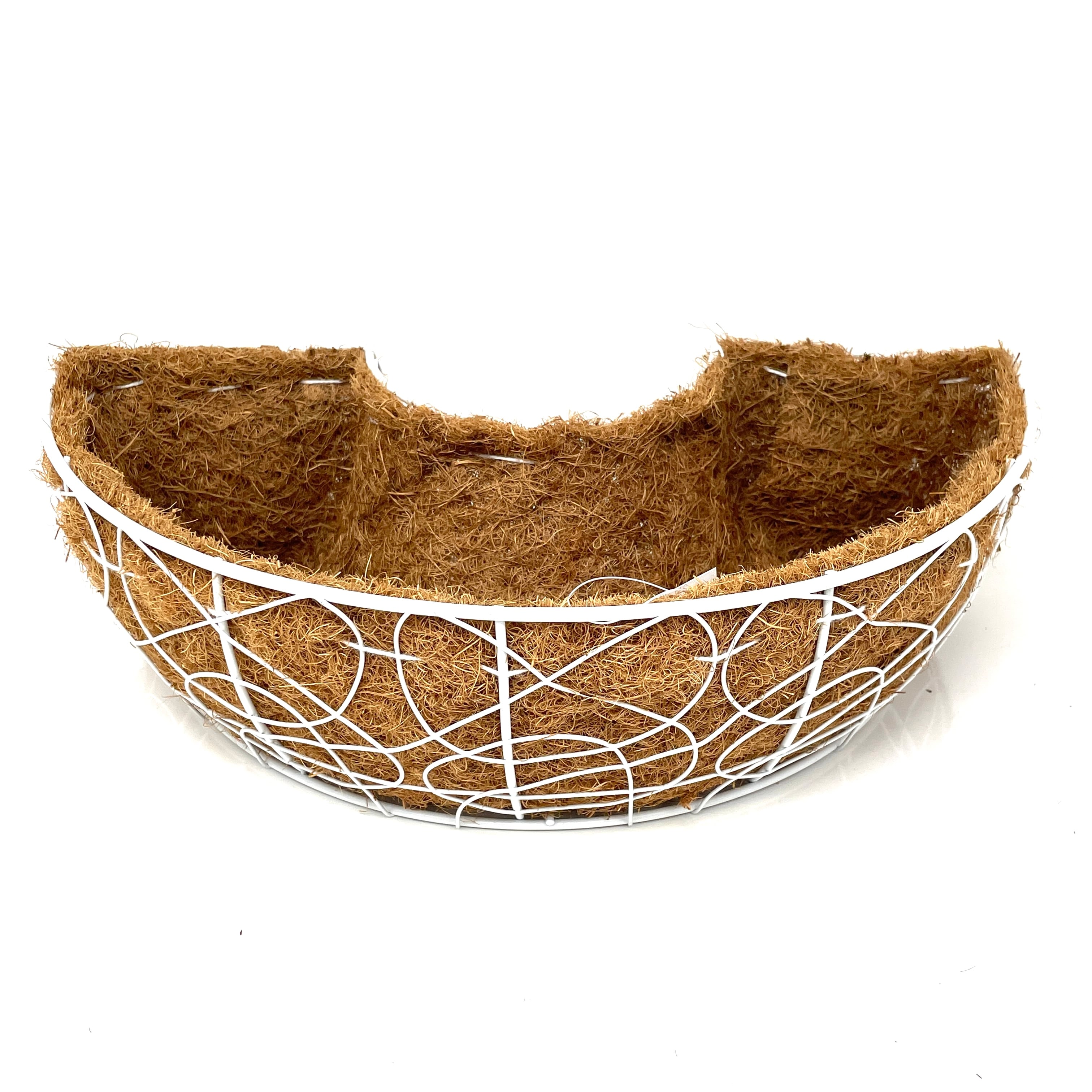 MEMBERSHIP | PROTOLEAF プロトリーフ